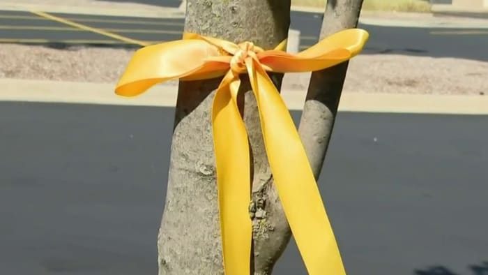 Gold ribbons at Beaumont Hospital in Royal Oak bring awareness to ...