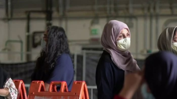 Metro Detroit groups try to ease transition for Afghan refugees coming ...