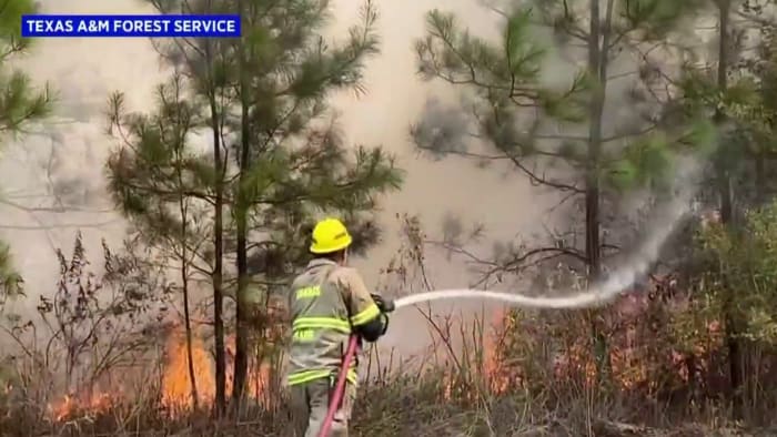 Large fire burning in Walker County at 4,250 acres; 40 percent ...