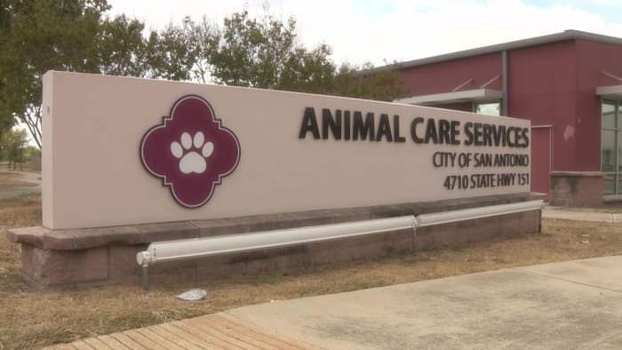 How will ACS use its record budget increase?