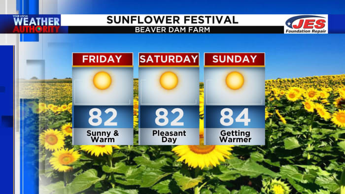 Football, festival forecast features fantastic weather!