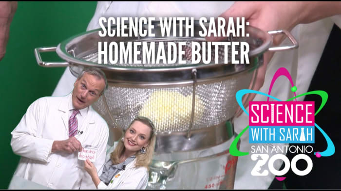 🧪 Science with Sarah: Making butter 🧈