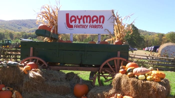 WSLS to host Trick or Treat event at Layman Family Farms