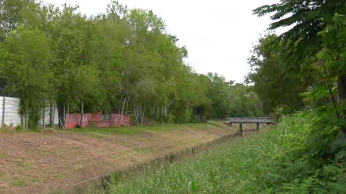 Sims_Bayou