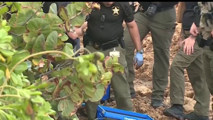Human skulls, skeletal remains unearthed by Hurricane Nicole on Florida ...