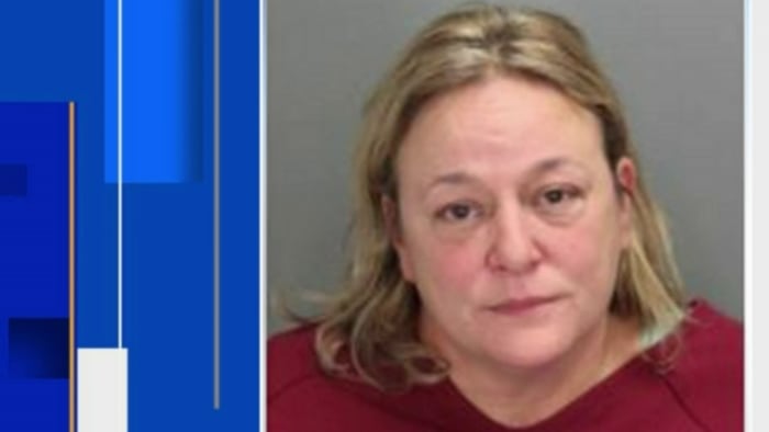 Oakland County probate judge faces domestic assault charge