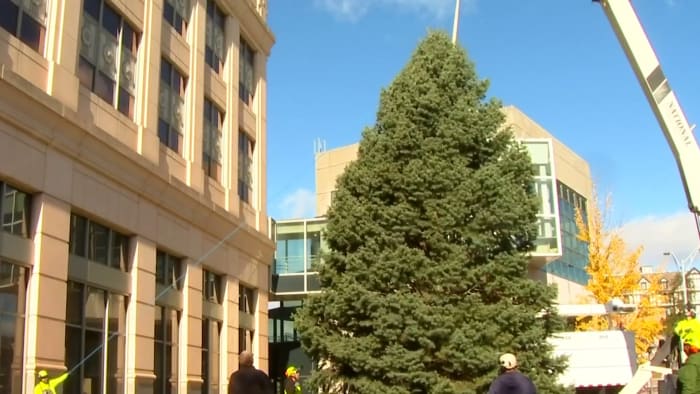 SPECIAL DELIVERY: Watch the arrival of Downtown Roanoke’s Christmas tree