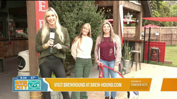 Live from BrewHound with Fur Sisters, Santa, and Pet Wants!