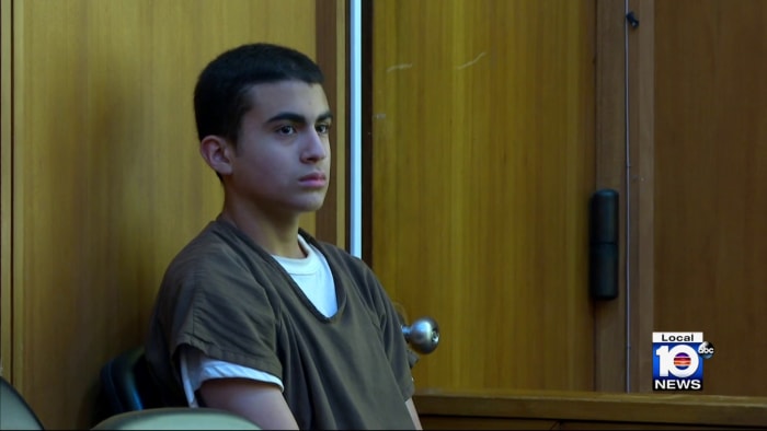 Derek Rosa, de 13 años, apuñaló a su madre 46 veces, declara el ...