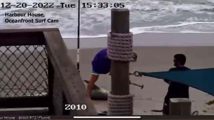 Man caught beating shark with hammer on Brevard County beach gets probation