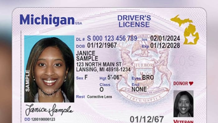 New Michigan driver’s licenses, state IDs and plates coming in 2024