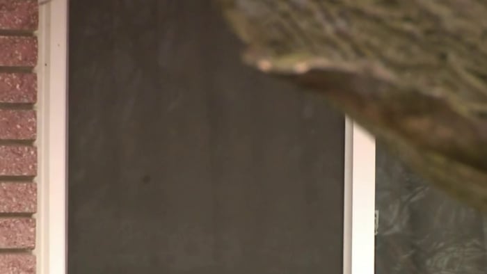 FBI: 26-year-old Warren woman took 3 videos of herself sexually abusing ...