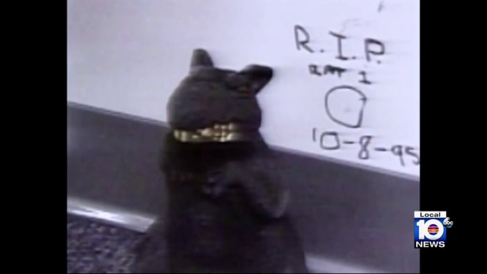 Panthers fan’s history of rat-throwing goes back to team’s first ...