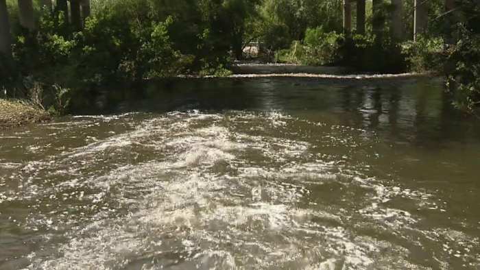 Very heavy mold in air means misery for allergy sufferers