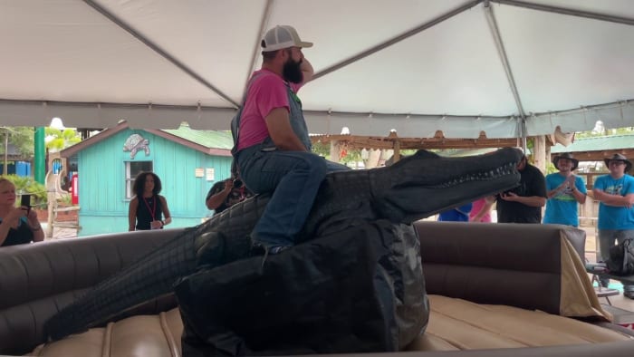 Mechanical Alligator Rodeo at Gatorpalooza!