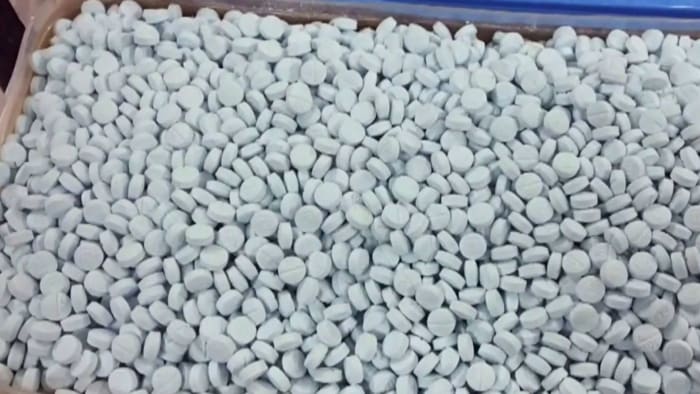 Task force in Osceola County shares how they plan to tackle opioid epidemic