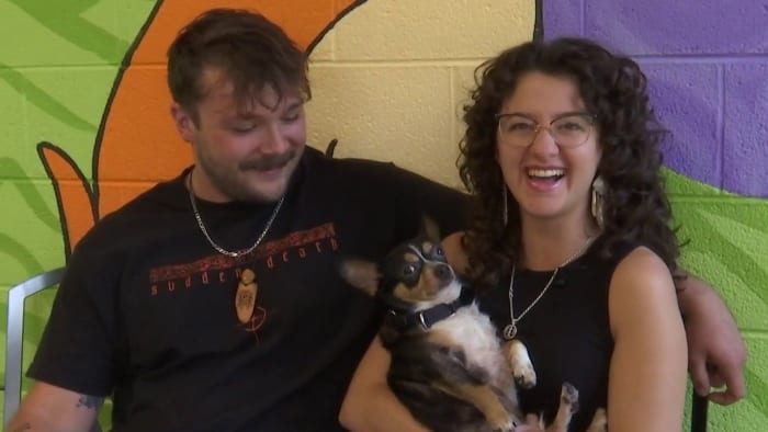 Pawsitively Perfect: National Dog Day Brings Joy to Shelters and Homes