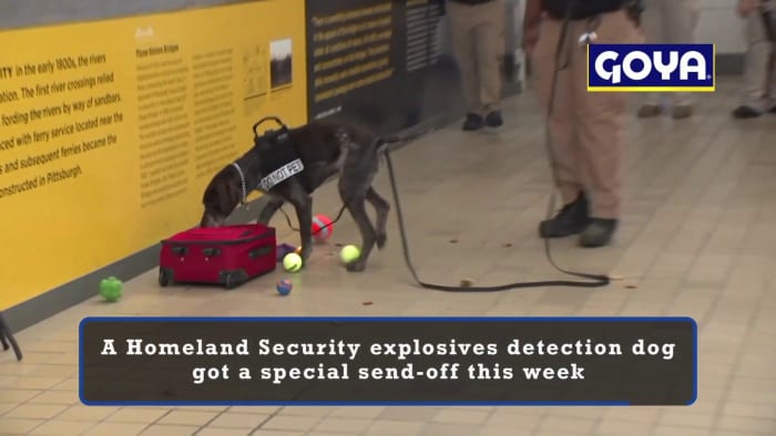 Homeland Security explosives detection dog gets special send-off