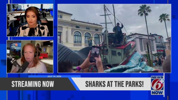 Lisa Bell talks Shark Week at the parks with Theme Park Insider Haley ...
