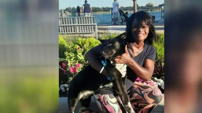 Missing pregnant dog feared to be stolen in Detroit