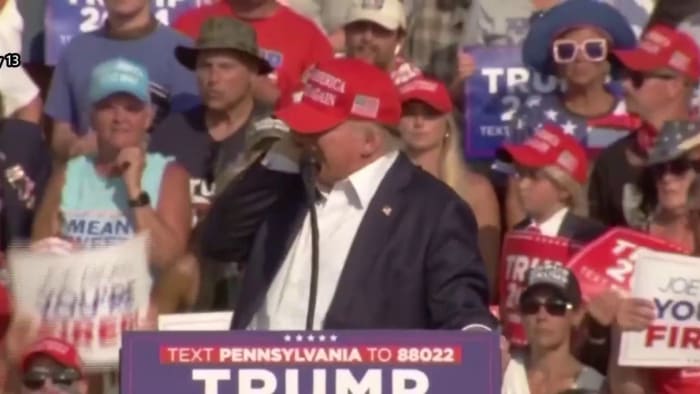 Divided We Stand: The Surge in Political Aggression