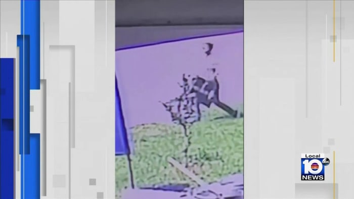 Woman resembling candidates wife seen on camera removing political ...