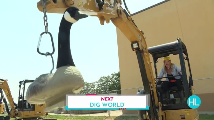 Dig World! The Construction Theme Park Where Kids Can Learn on Real ...