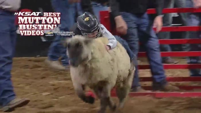 Young rider wins the night in Mutton Bustin at the San Antonio Stock ...