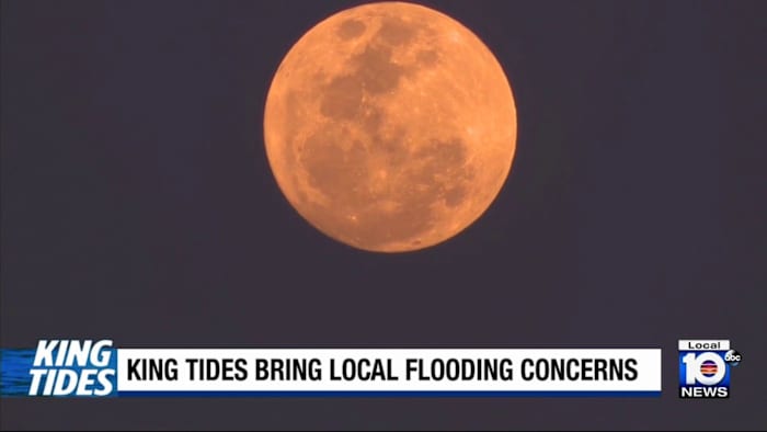 October supermoon king tides cause dangerous swimming conditions in ...