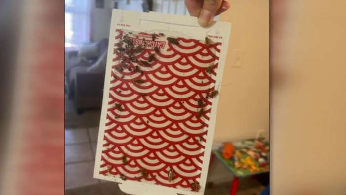 Apartment nightmare: Jacksonville mom disputes $2K lease charge after ...