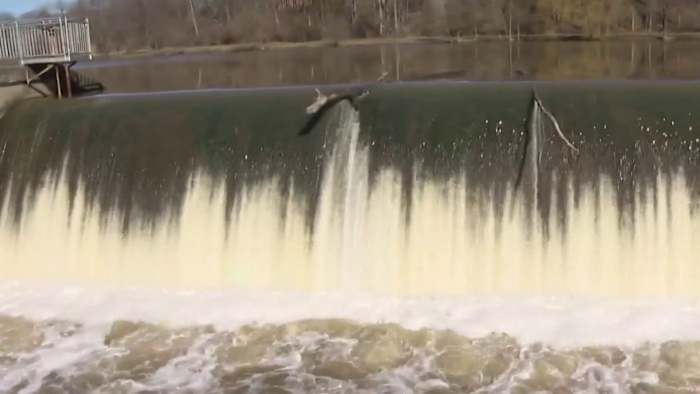 Saline weighing removal or restoration for historic dam