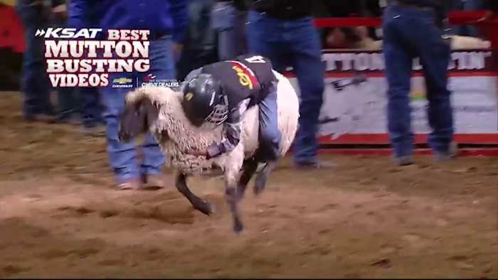 Child takes a tumble during Mutton Busting at San Antonio Stock Show ...