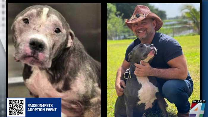 Passion 4 Pets: Doc Tony shares the passion behind the project