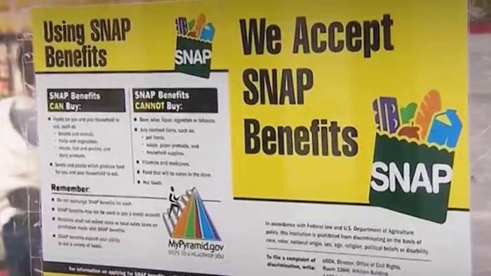 Virginia SNAP benefits update as VENA program paused amid government ...