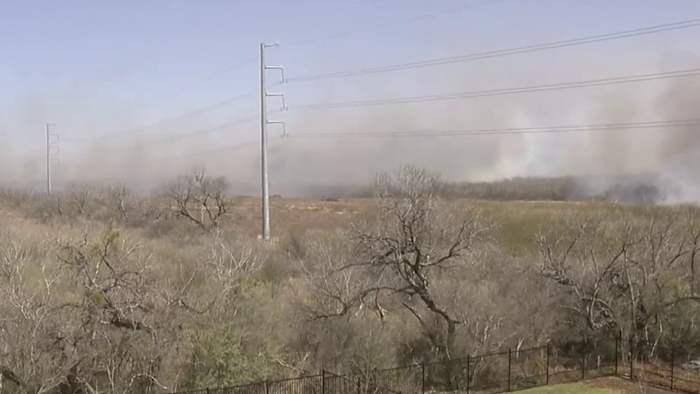 Allergist provides tips to protect against smoke, dust and oak pollen ...