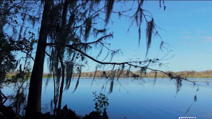 DeBary to open massive, ‘one-of-a-kind’ Alexander Island nature park ...