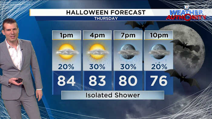 Local 10 Weather: 10/26/24 Edition