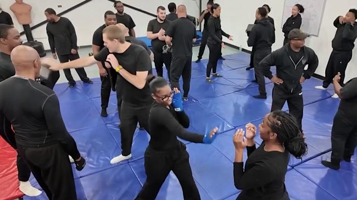 Metro Detroit police departments using unique approaches to address ...