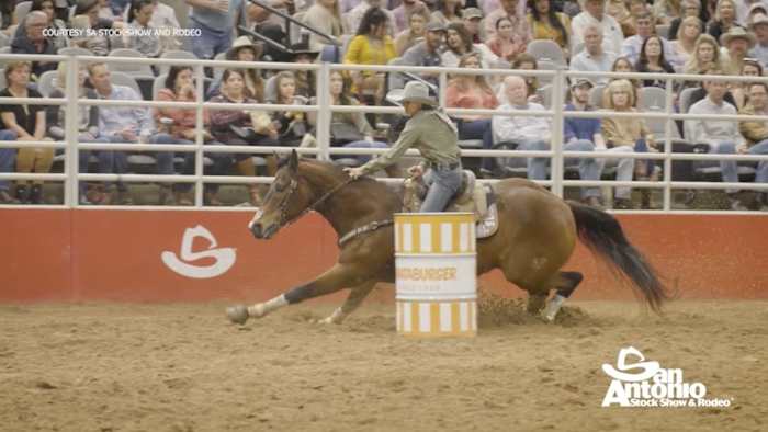 Veterinarian explains horse virus outbreak after San Antonio rodeo ...
