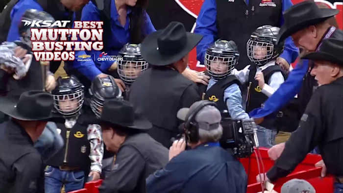 First night of Mutton Busting at the San Antonio Stock Show & Rodeo