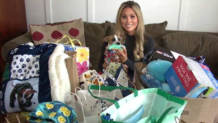 Beloved Detroit dog ‘Gideon’ continues to heal: Where abuse ...