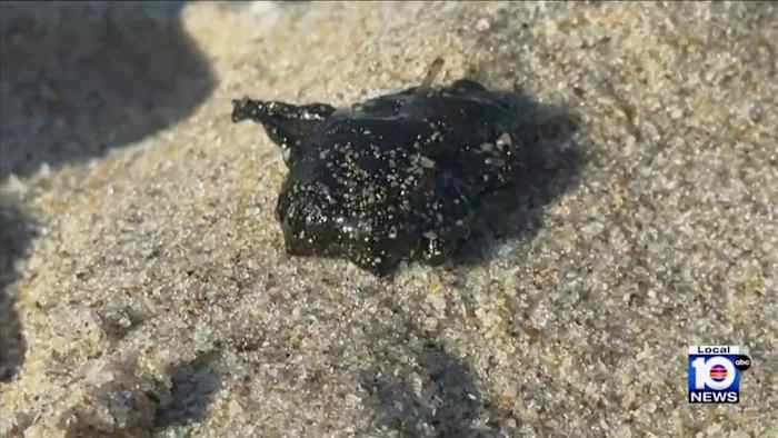 Parts of Fort Lauderdale Beach closed due to excess of sticky tar