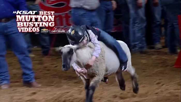 Strong contenders in Mutton Busting at the San Antonio Stock Show & Rodeo