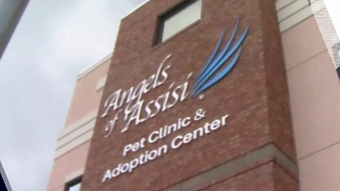 WATCH: Angels of Assisi moves into new location