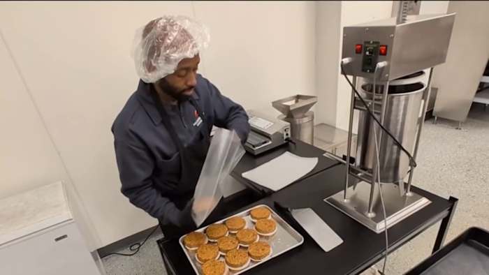 Mushroom Angel Company on Live in the D