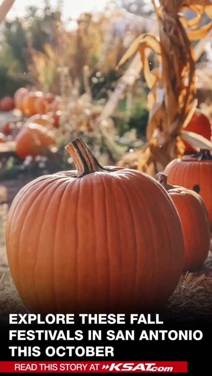 Explore these fall festivals in the Alamo City this October