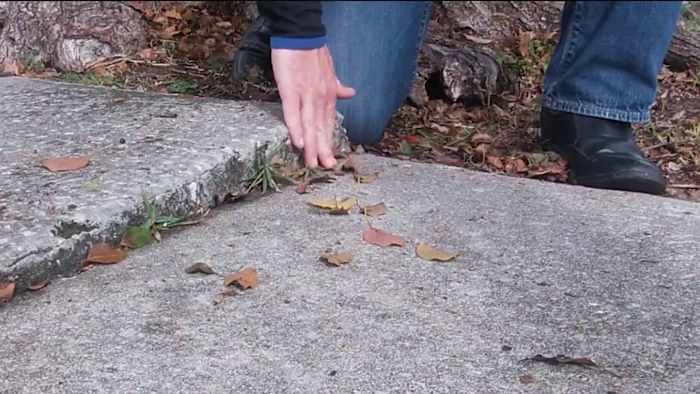 Winter Park commissioners to vote initiative to to make sidewalks safer ...