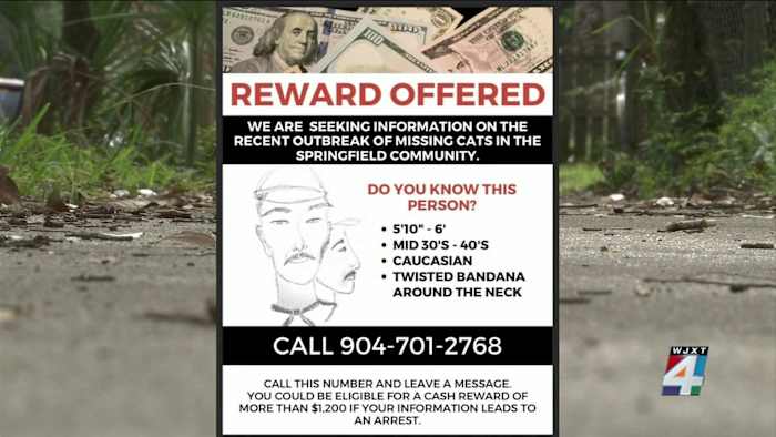 Springfield resident spots man fitting description of person sought in ...