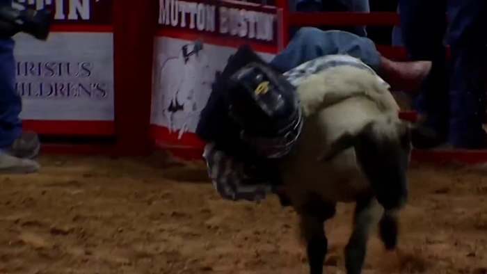 Participants dust themselves off at San Antonio Stock Show and Rodeo's ...