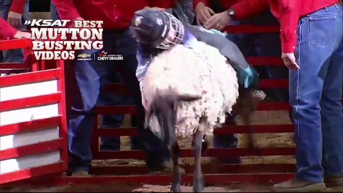 Mutton Busting's best of the night at San Antonio Stock Show & Rodeo